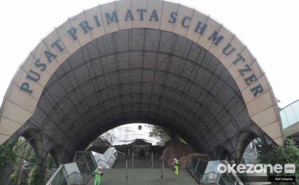 Pusat Primata Schmutzer Ragunan Disemprot Disinfektan 0 : Foto Okezone Foto