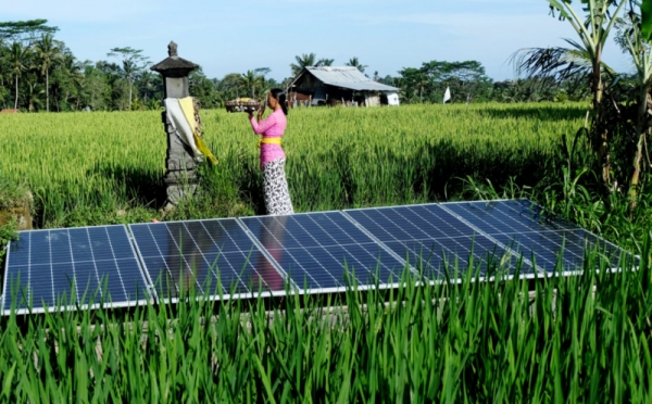 Potret Desa Keliki Bali yang Kembangkan Pertanian Berbasis Energi ...