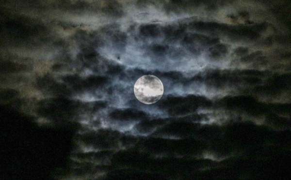 Fenomena Bulan Purnama Merah Muda di Langit Depok 0 : Foto Okezone Foto