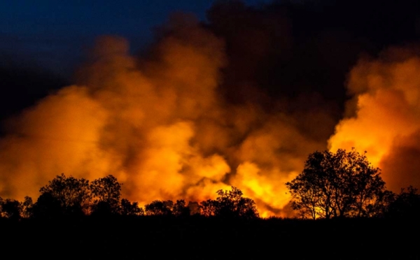 Api Membumbung Tinggi, Kebakaran Hutan di Kalsel Terus Meluas hingga 132 Hektare 0 : Foto ...