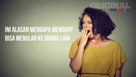 Alasan Mengapa Menguap Bisa Menular ke Orang Lain : Okezone Video