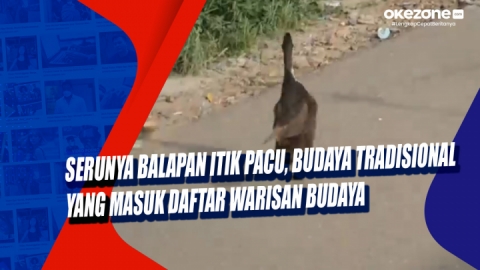 Serunya Balapan Itik Pacu, Budaya Tradisional yang Masuk Daftar Warisan ...