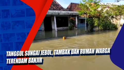 Tanggul Sungai Jebol, Tambak Dan Rumah Warga Terendam Banjir : Okezone Video
