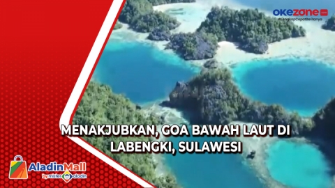 Menakjubkan, Goa Bawah Laut di Labengki, Sulawesi : Okezone Video