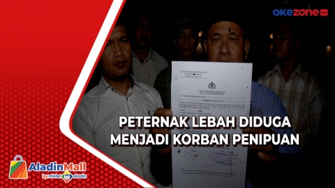 Puluhan Peternak Lebah Diduga Menjadi Korban Penipuan, Kerugian Capai ...