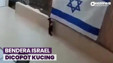 Tertangkap CCTV! Aksi Seekor Kucing Copot Bendera Israel : Okezone Video