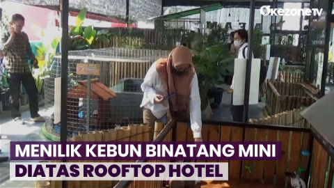 Serunya Bermain di Kebun Binatang Mini yang Berada di Rooftop Hotel ...
