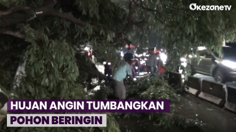 Hujan dan Angin Kencang akibatkan Pohon Beringin Tumbang di Jakarta Barat : Okezone Video